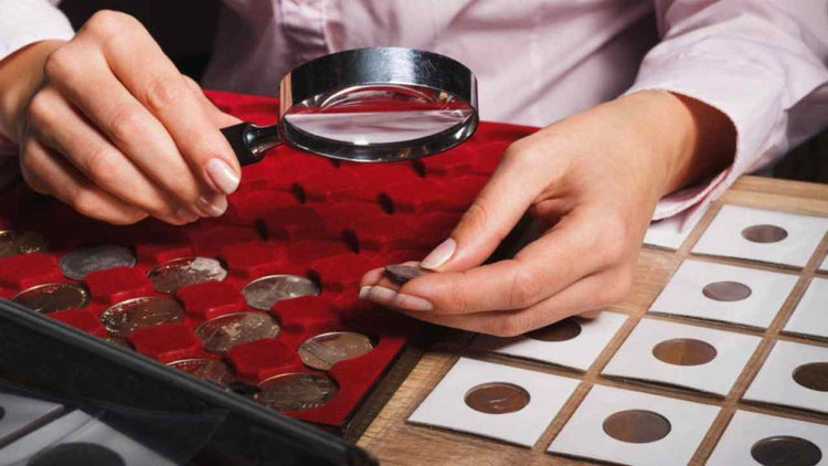 Servicios – NumismA Store